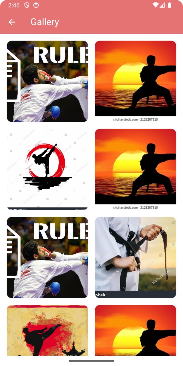 Zen Karate App - Portfolio